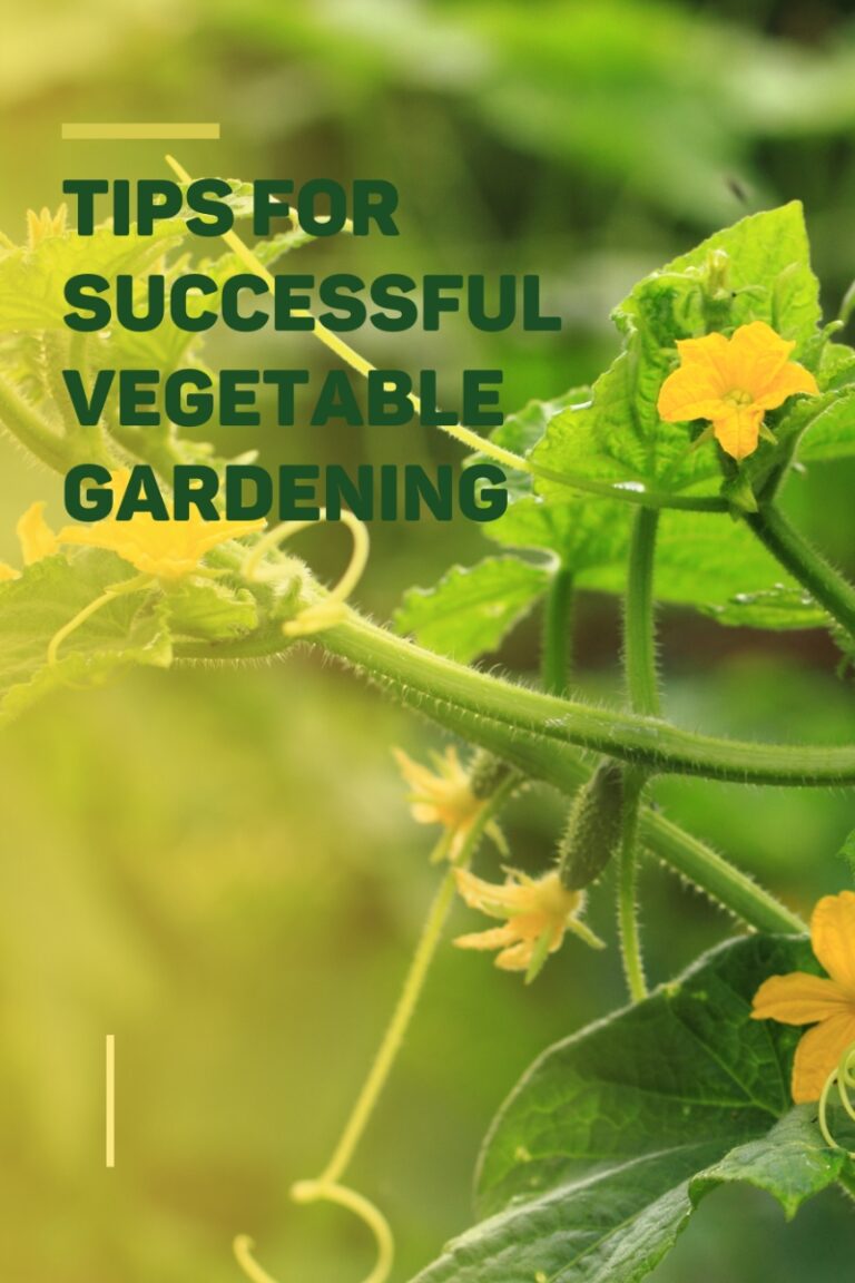 Yellow Vegetables You Need to Know: Benefits and Recipes - For Dietitians