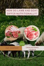 Lamb vs Goat Meat - For Dietitians