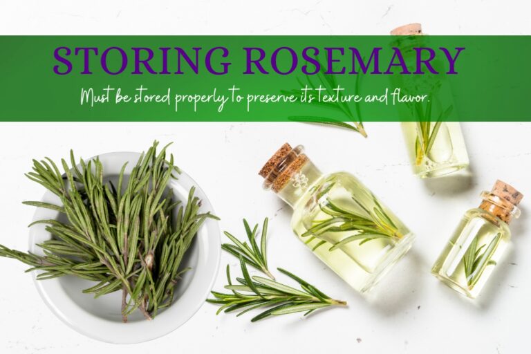 Tips to Prep, Cook, and Store Fresh Rosemary - For Dietitians