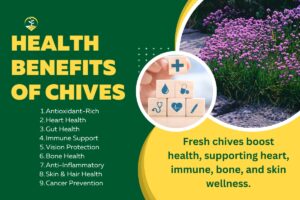 How to Prep, Cook, and Store Fresh Chives - For Dietitians