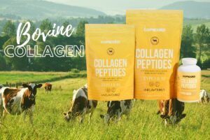 Marine Collagen vs. Bovine Collagen: Which is Better? - For Dietitians